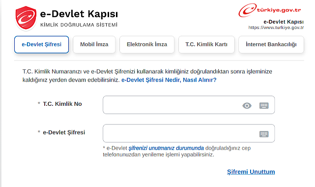 E-Devlet girişi nedir? E-Devlet'e nasıl giriş yapılır? E-Devlet şifresi ...